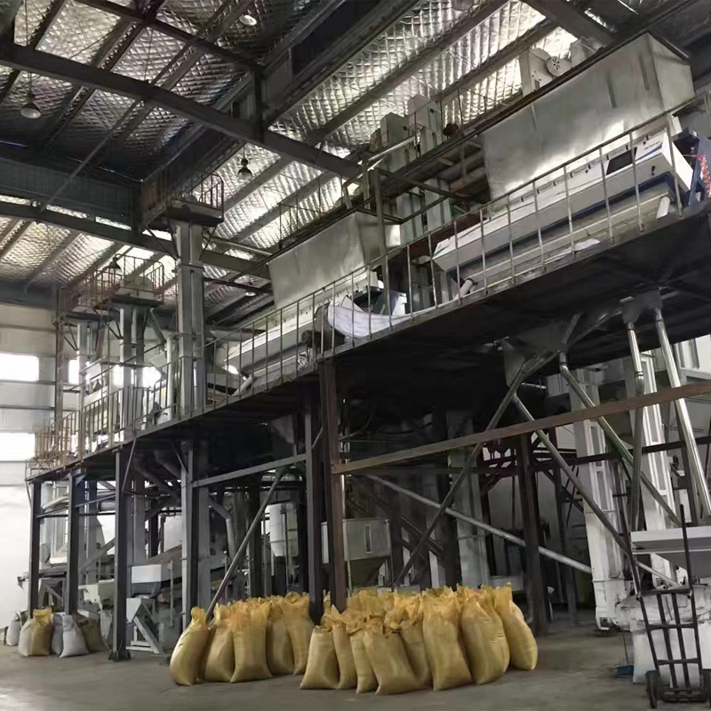 Overview of Sesame Production in 2024 - Beibu Machinery